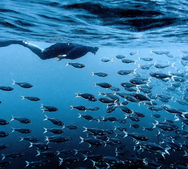 Smart Mooring System by HanseYachts — Yacht Charter & Superyacht News